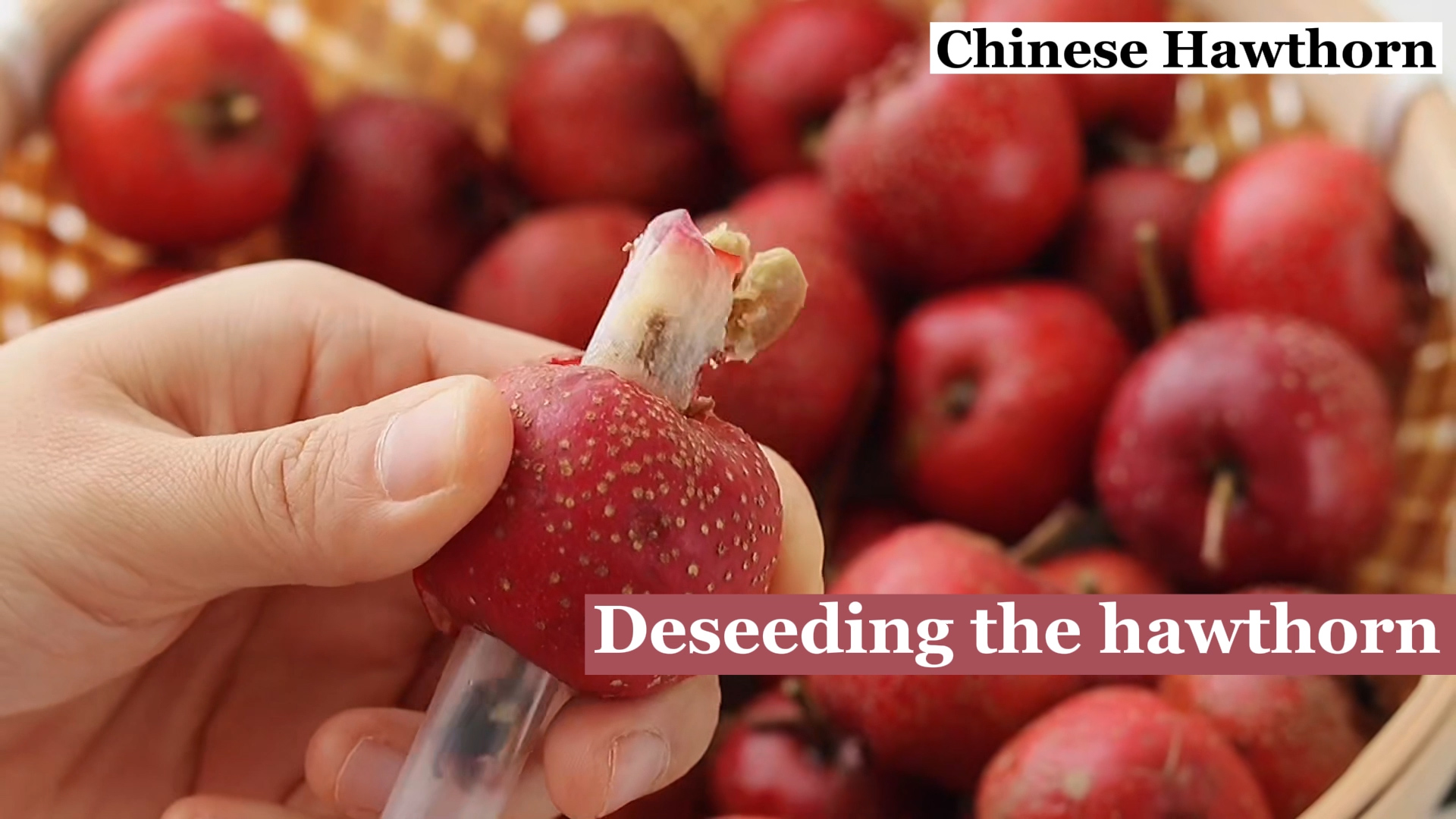 Chinese Hawthorn - Cook Chinese Foods