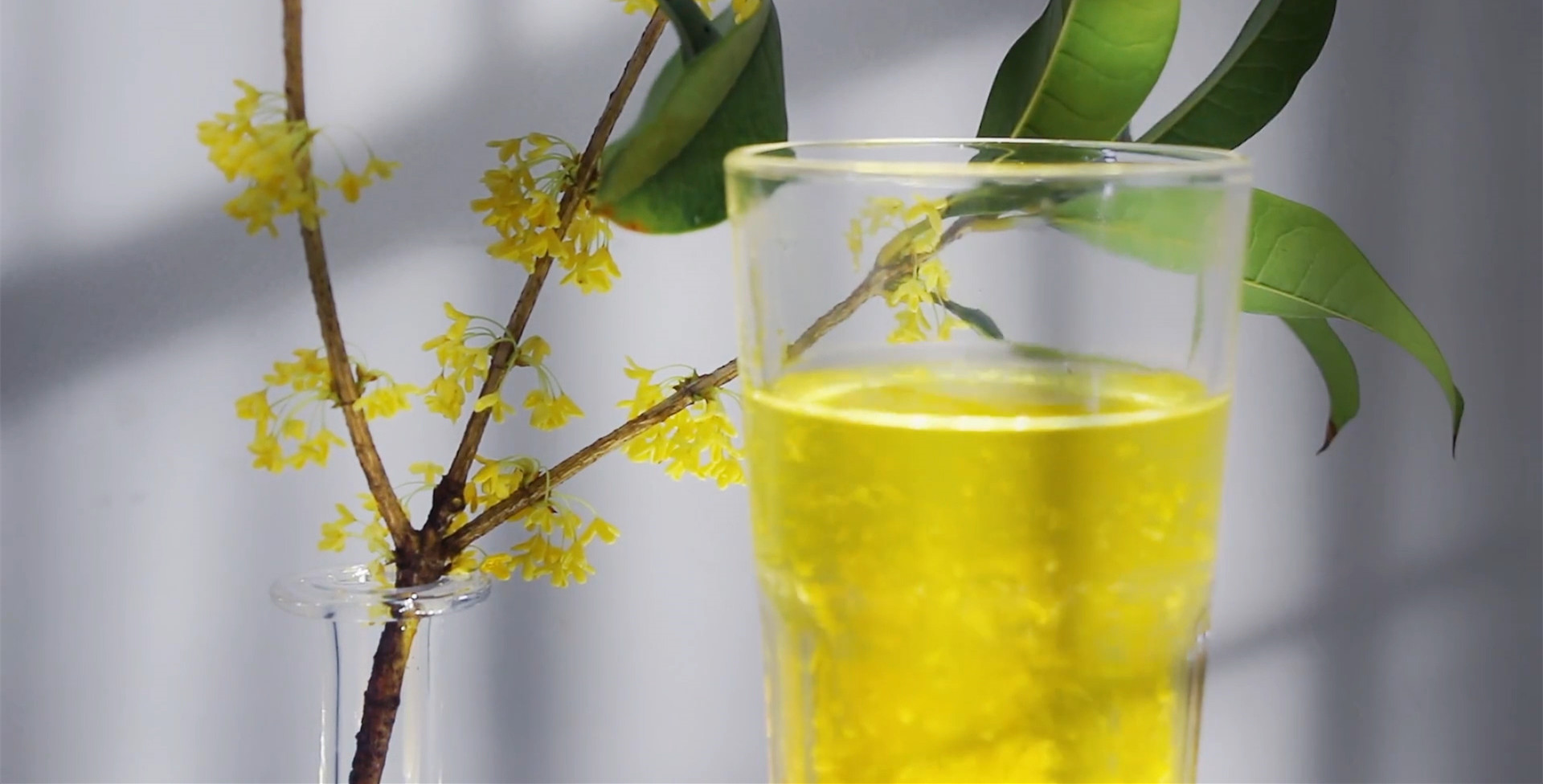 Osmanthus Tea - Cook Chinese Foods