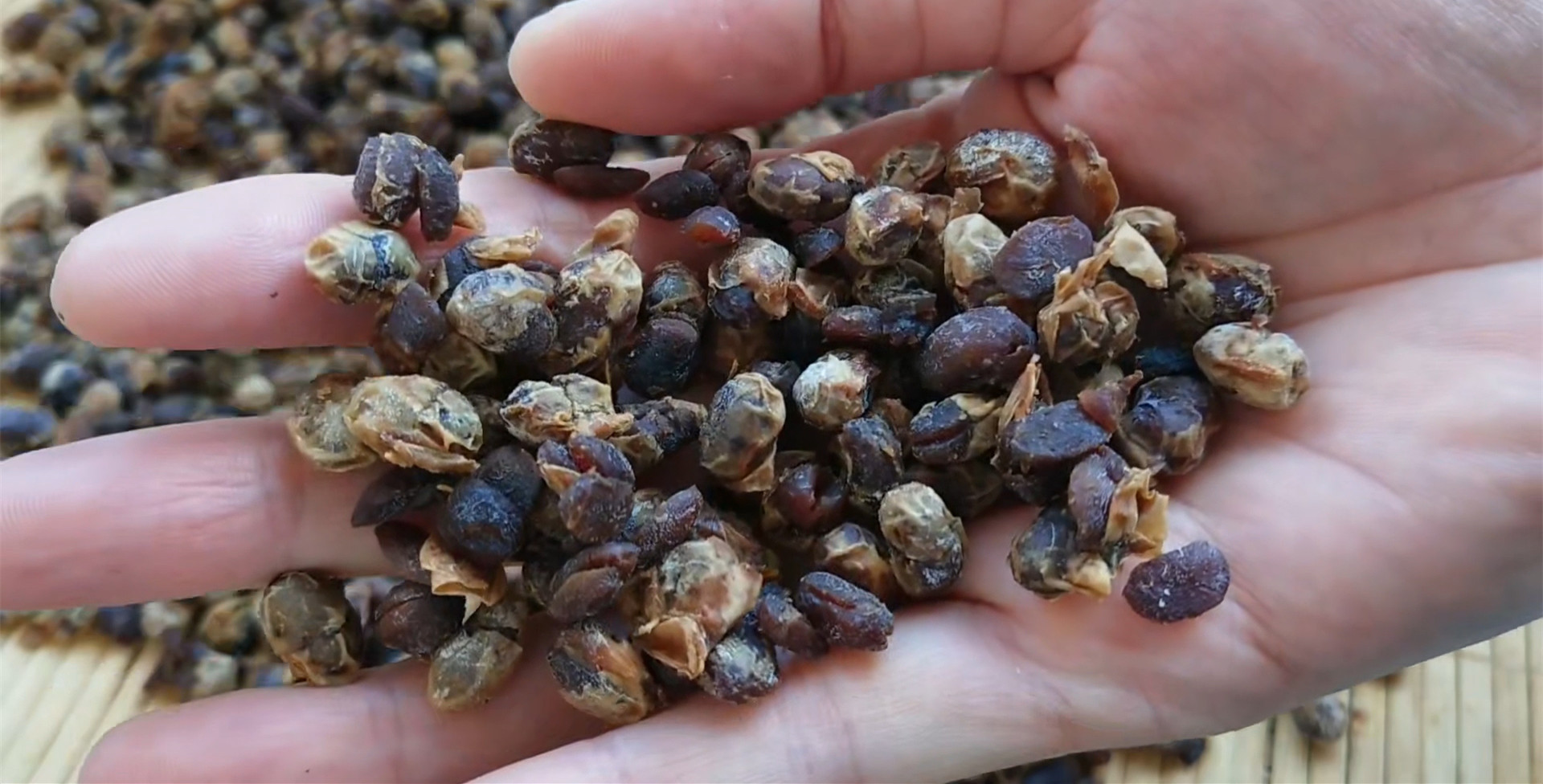 Douchi - Cook Chinese Foods