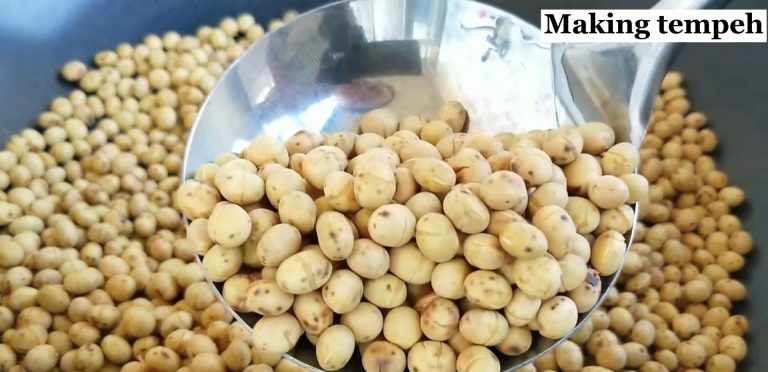 Douchi - Cook Chinese Foods