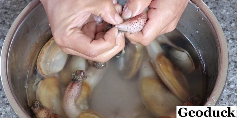 Geoduck Recipe - Cook Chinese Foods