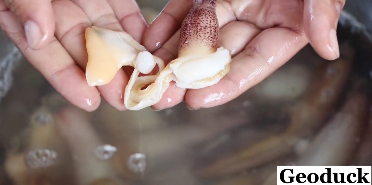 Geoduck Recipe - Cook Chinese Foods