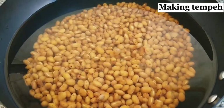 Douchi - Cook Chinese Foods