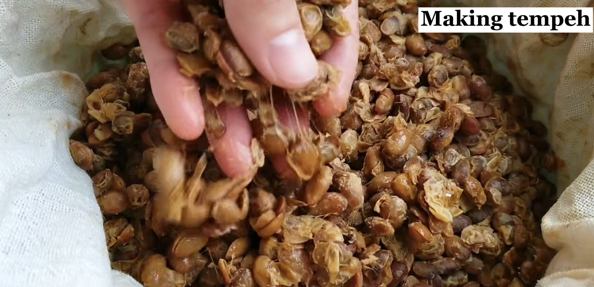 Douchi - Cook Chinese Foods