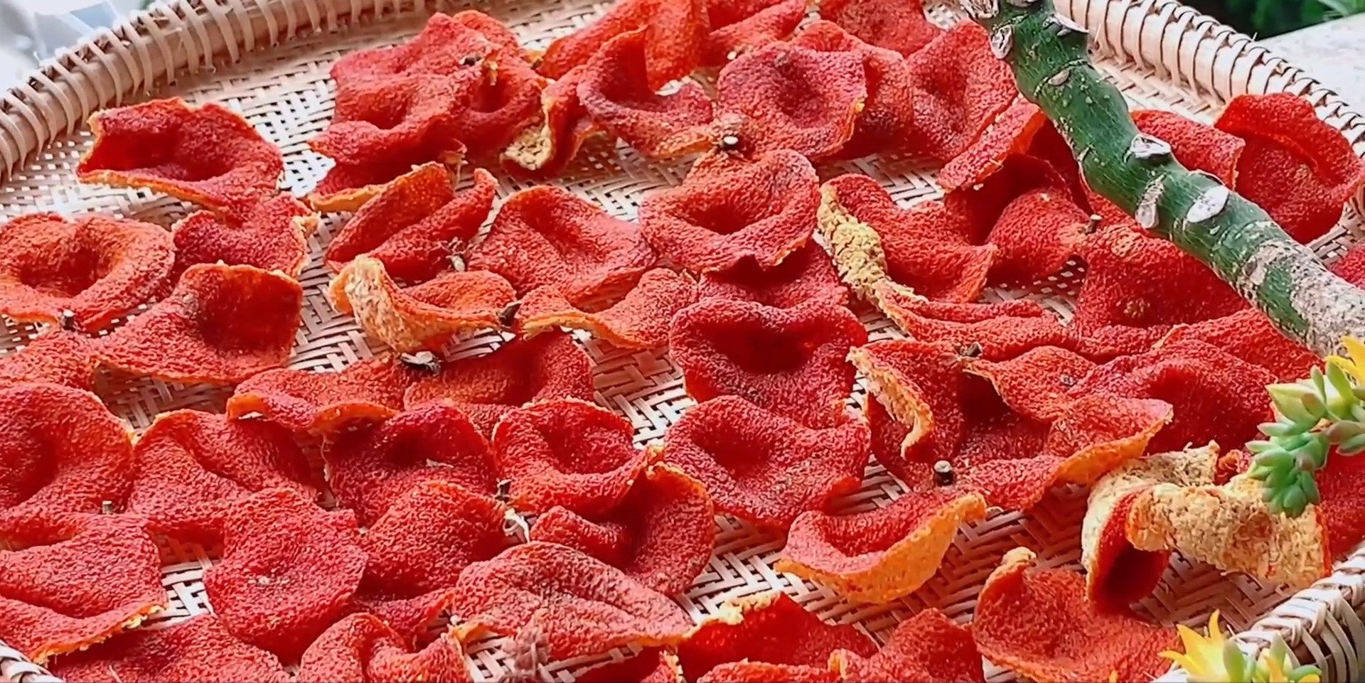 Chenpi - Cook Chinese Foods